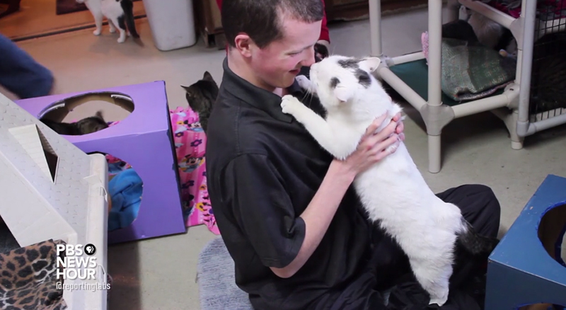 Animal shelter allows special needs students to engage with community ...