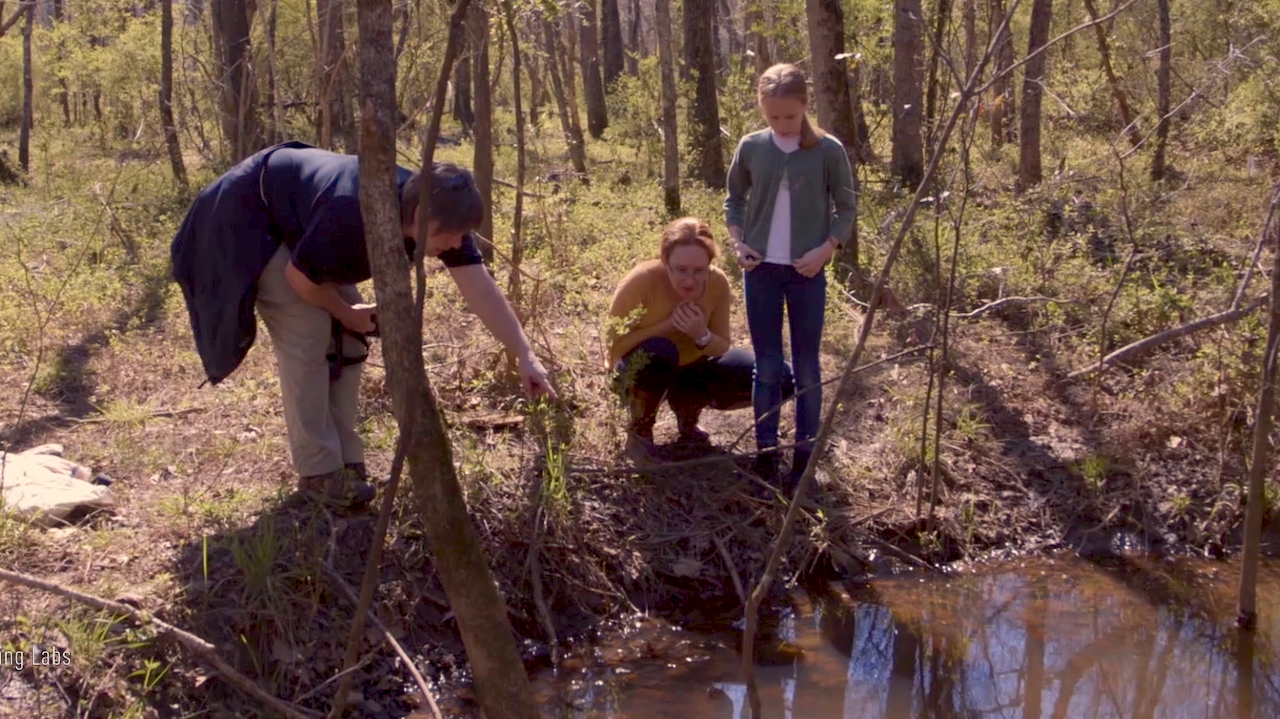 Frogwatch USA is making a difference in Greenville, South Carolina ...