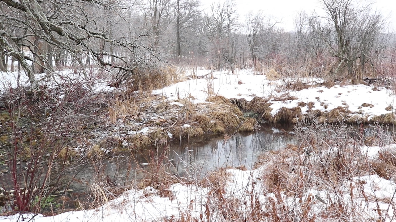 Protecting the Mukwonago River, one of Wisconsin’s cleanest water ...