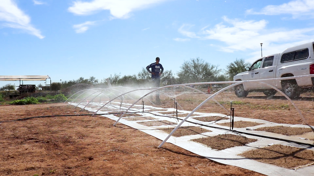 Citizen Scientists help remediate damaged desert soil crusts - PBS News ...